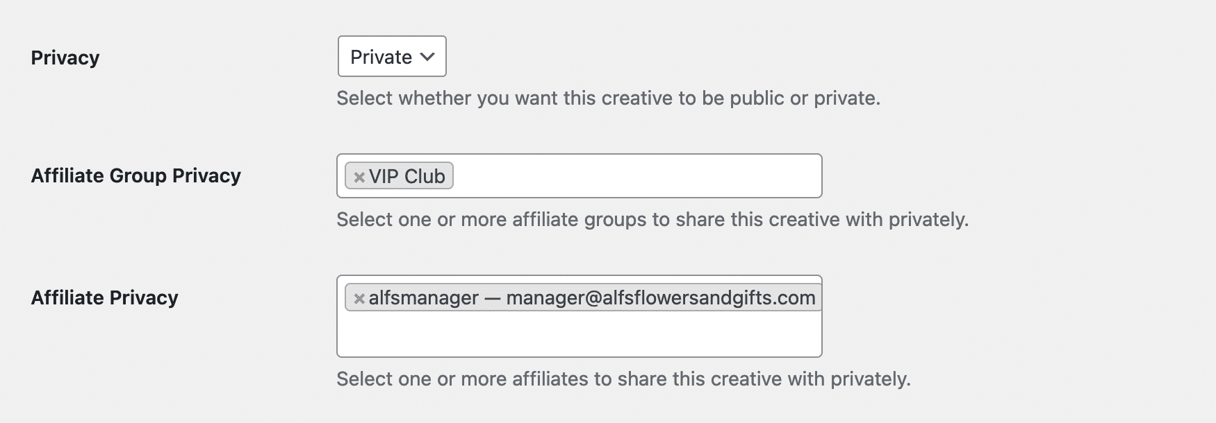 A Complete Guide to Affiliate Creatives - AffiliateWP